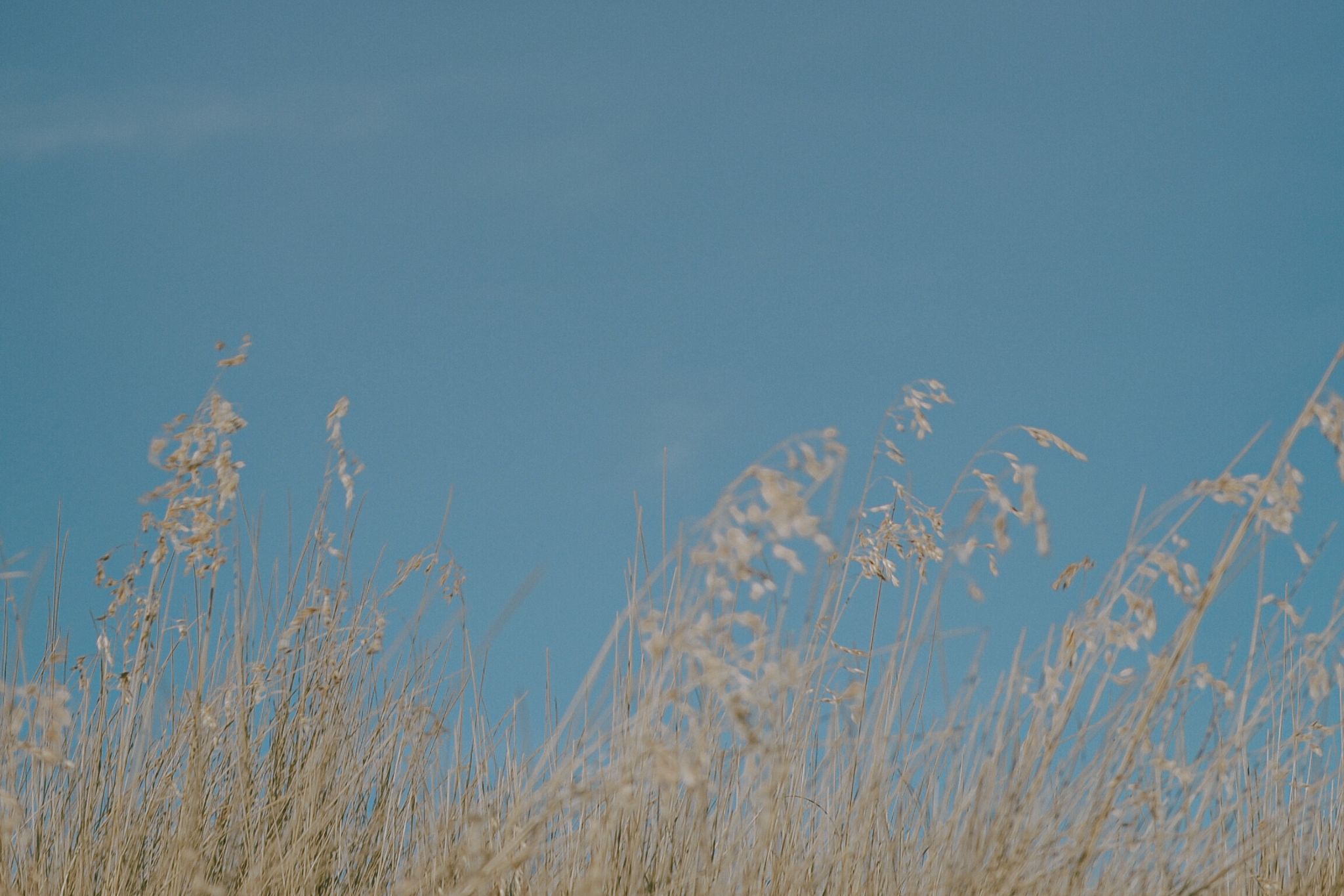 La palabra "inefable" y otras curiosidades de la lengua | Sara Abuín